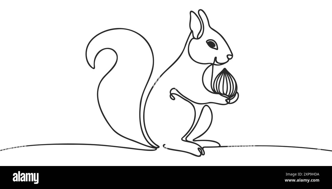 Continuous one line drawing squirrel sits eating nuts. Animals concept ...