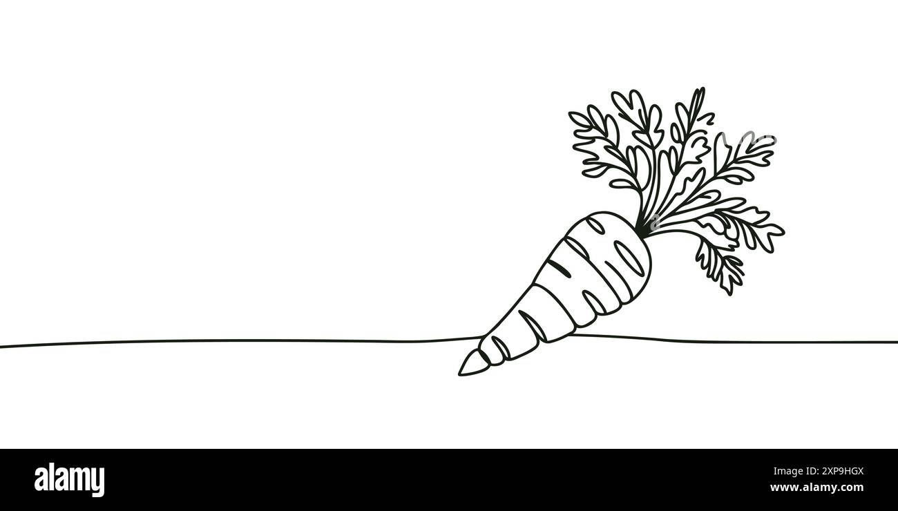 Continuous one line drawing of carrot vegetable. One line drawing ...