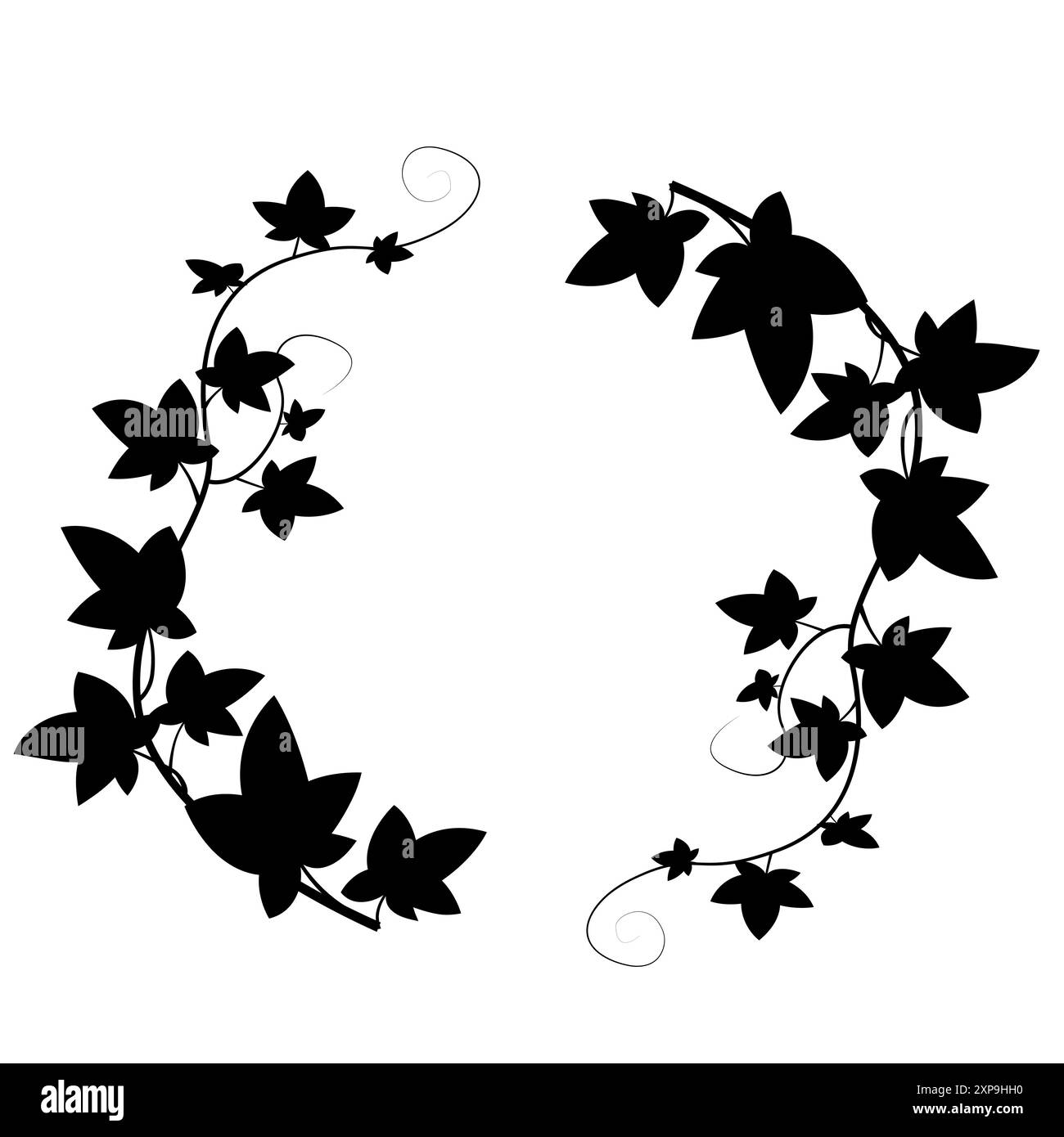 Black ivy silhouette. Curved plant vector. Decorative leaves. Nature ...