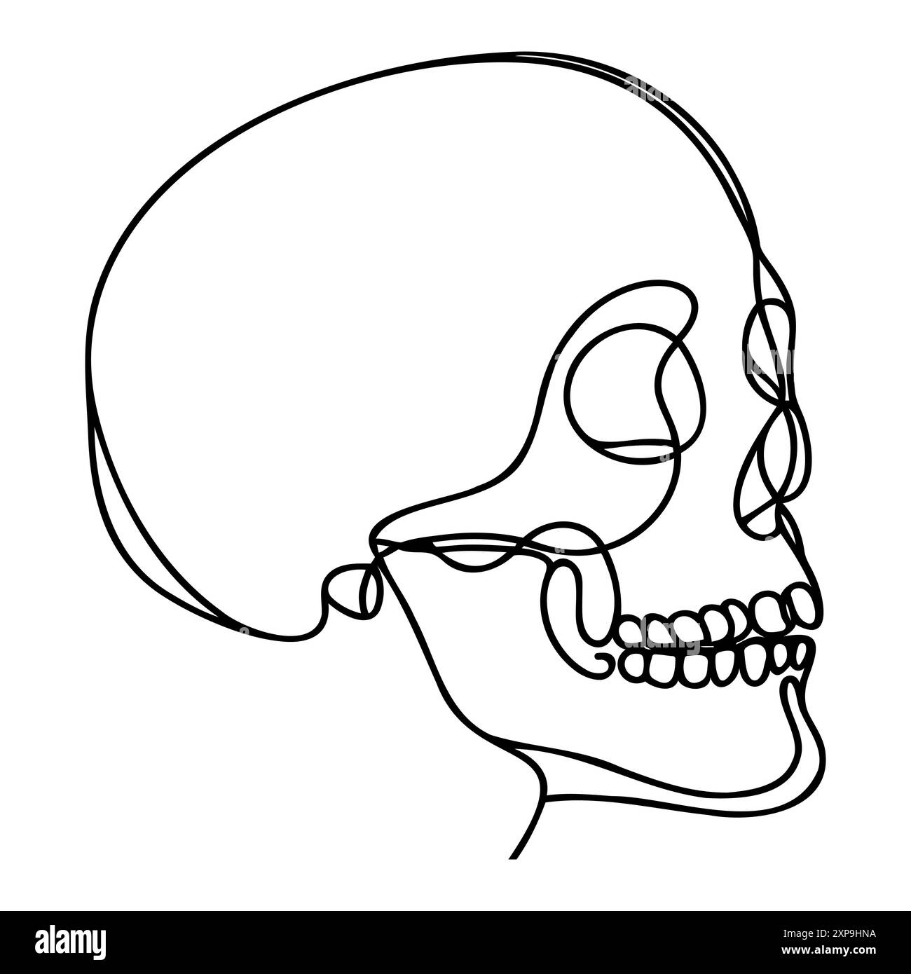 Human scull. One line continuous Halloween skull isolated on white ...