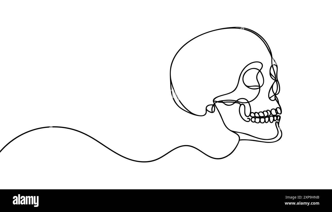Human scull. One line continuous Halloween skull isolated on white ...