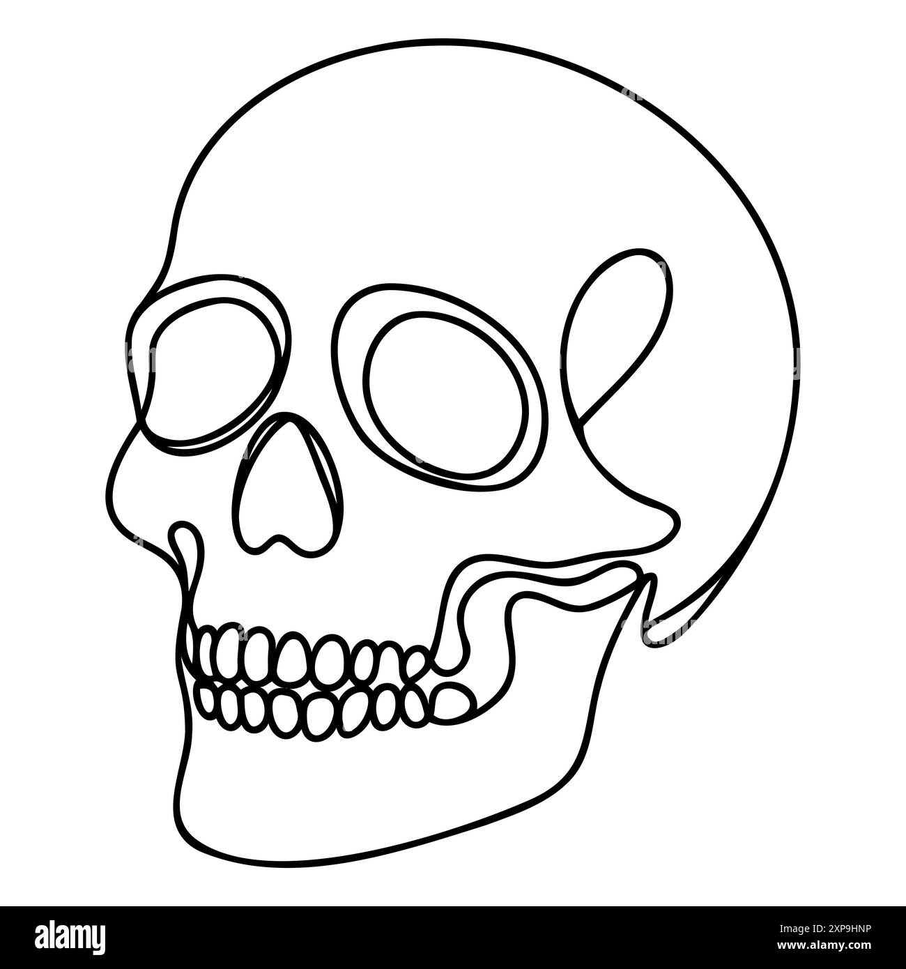Human scull. One line continuous Halloween skull isolated on white ...