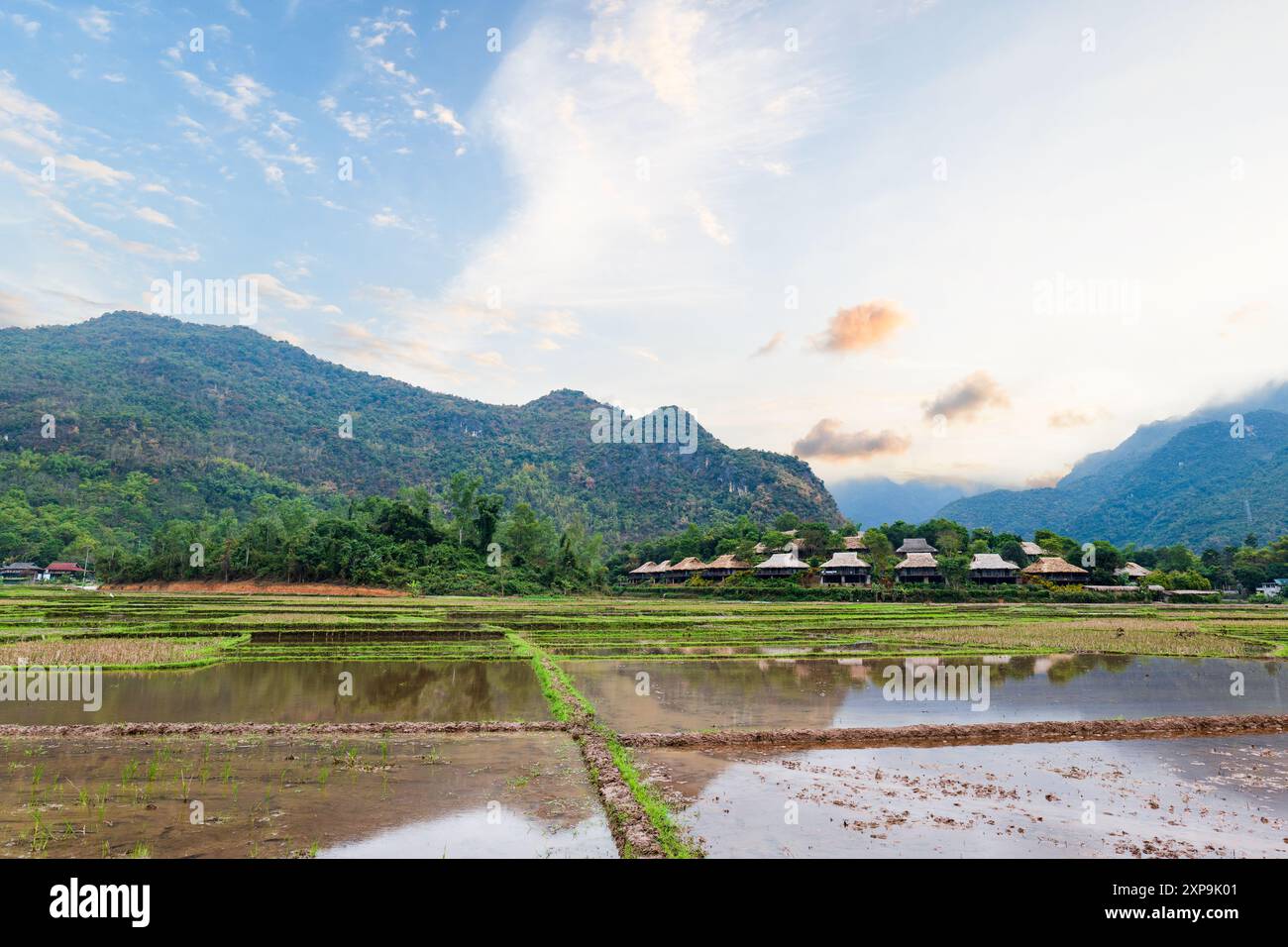 Mai Chau village landscape with rice paddy fields in North Vietnam. Mai ...