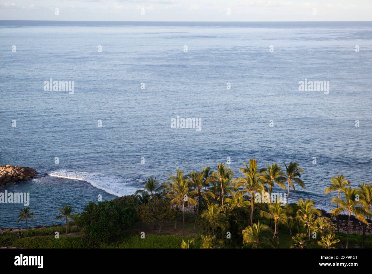 Aerial view, of Pacific ocean, shore, beach, palm trees, Ko Olina, Oahu ...