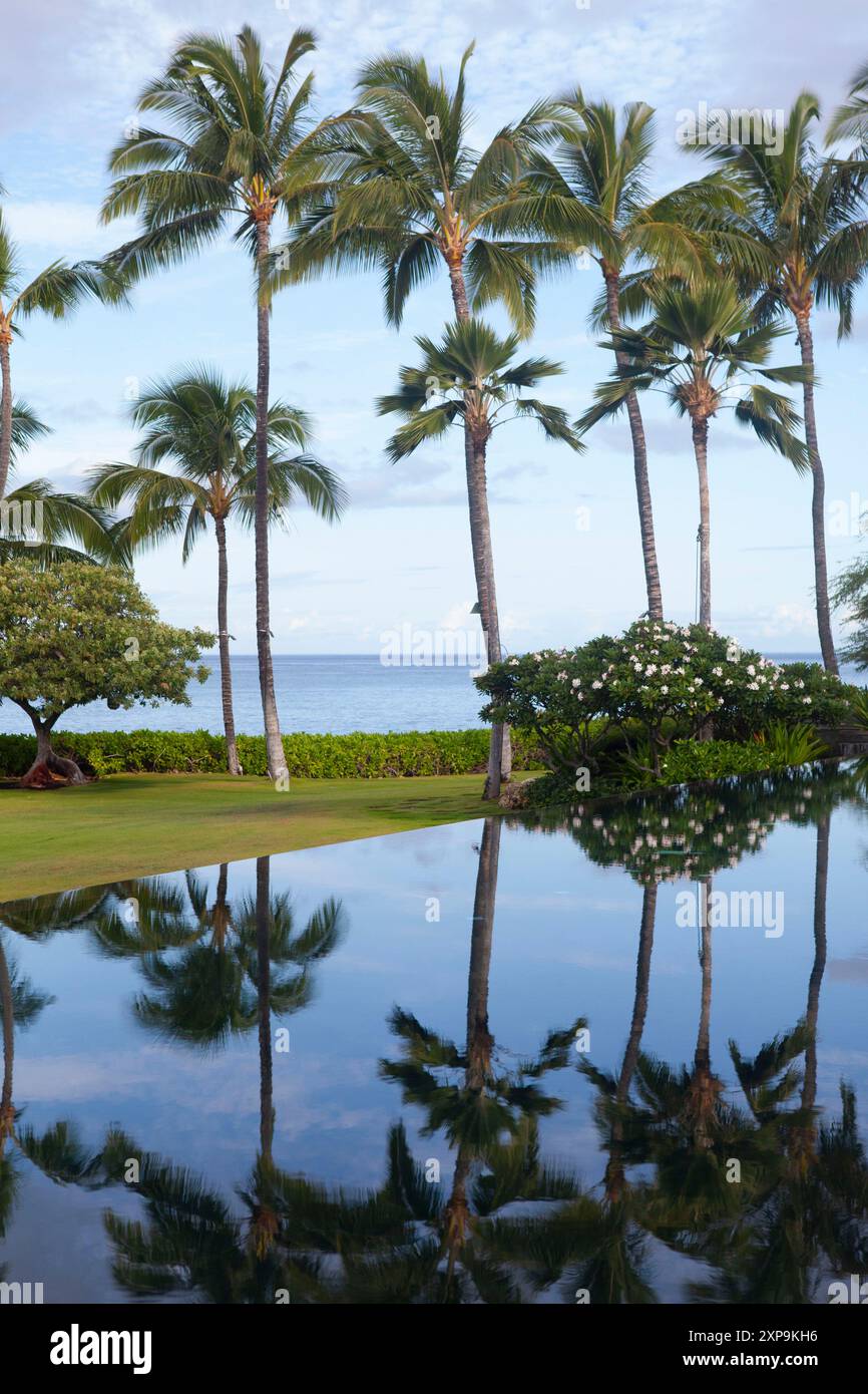 Palm tree reflection in swimming pool, luxury tropical resort spa ...