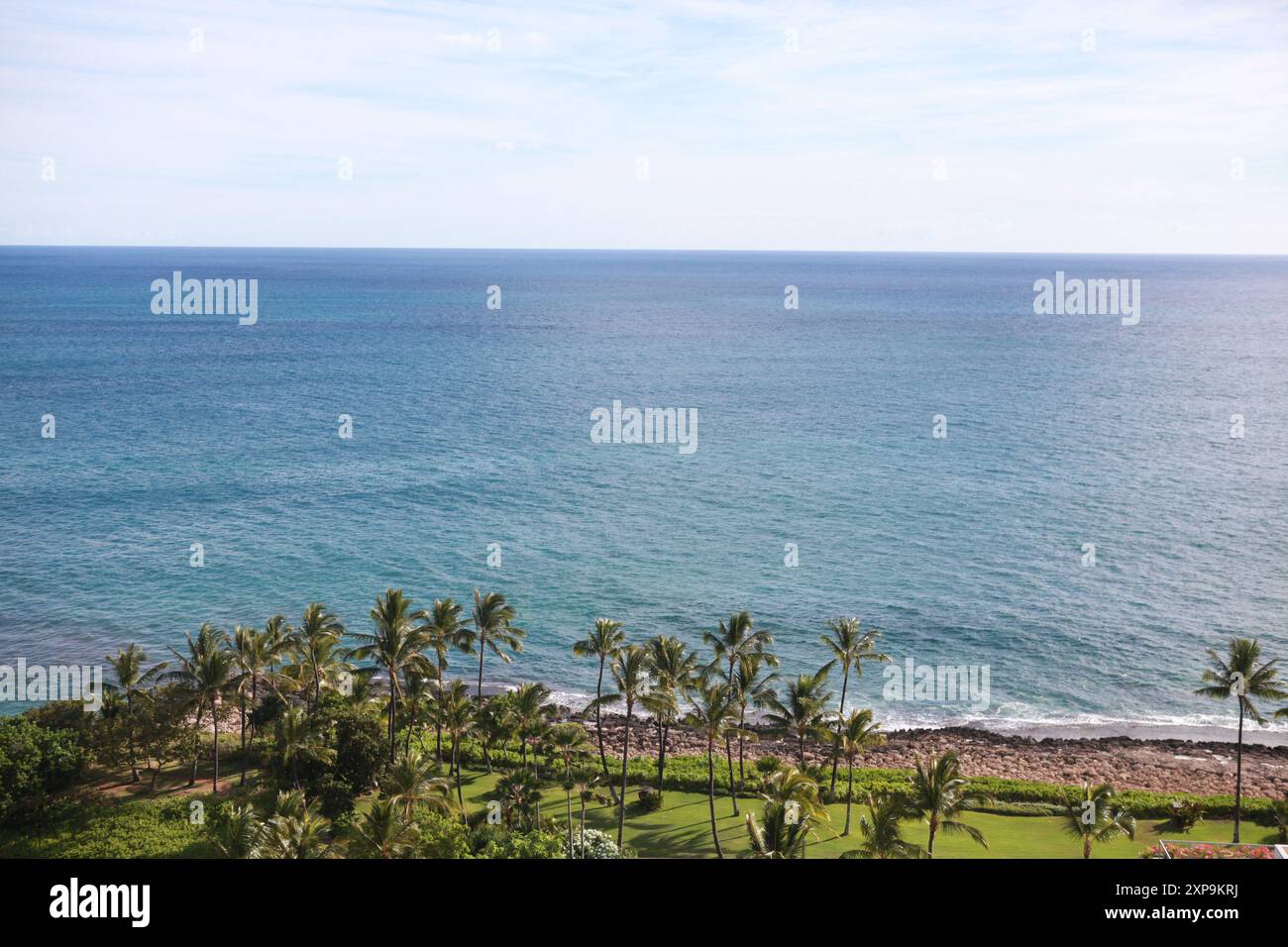 Aerial view, of Pacific ocean, shore, beach, palm trees, Ko Olina, Oahu ...