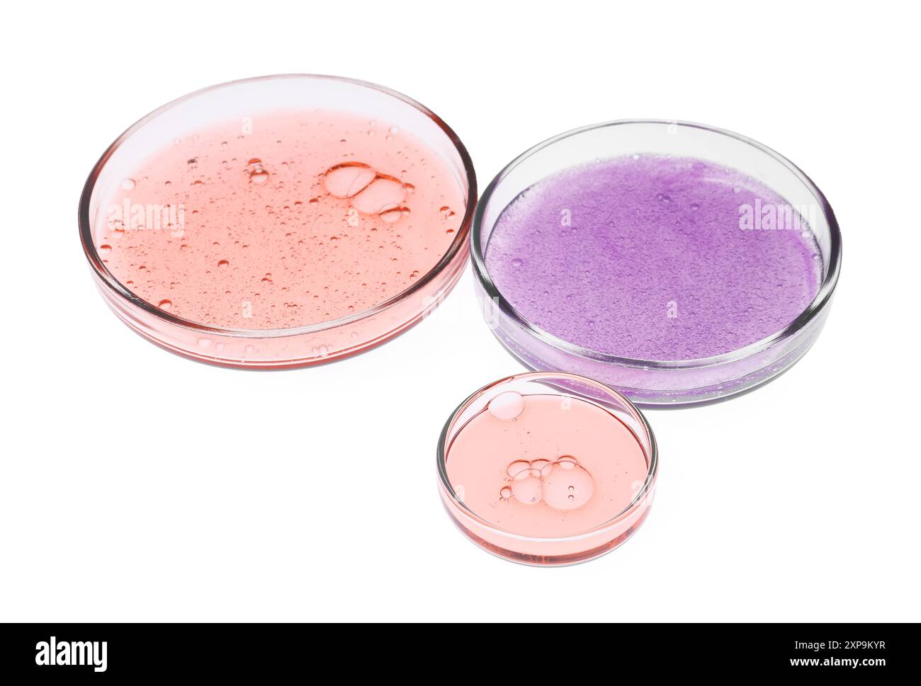 Biology samples Cut Out Stock Images & Pictures - Alamy
