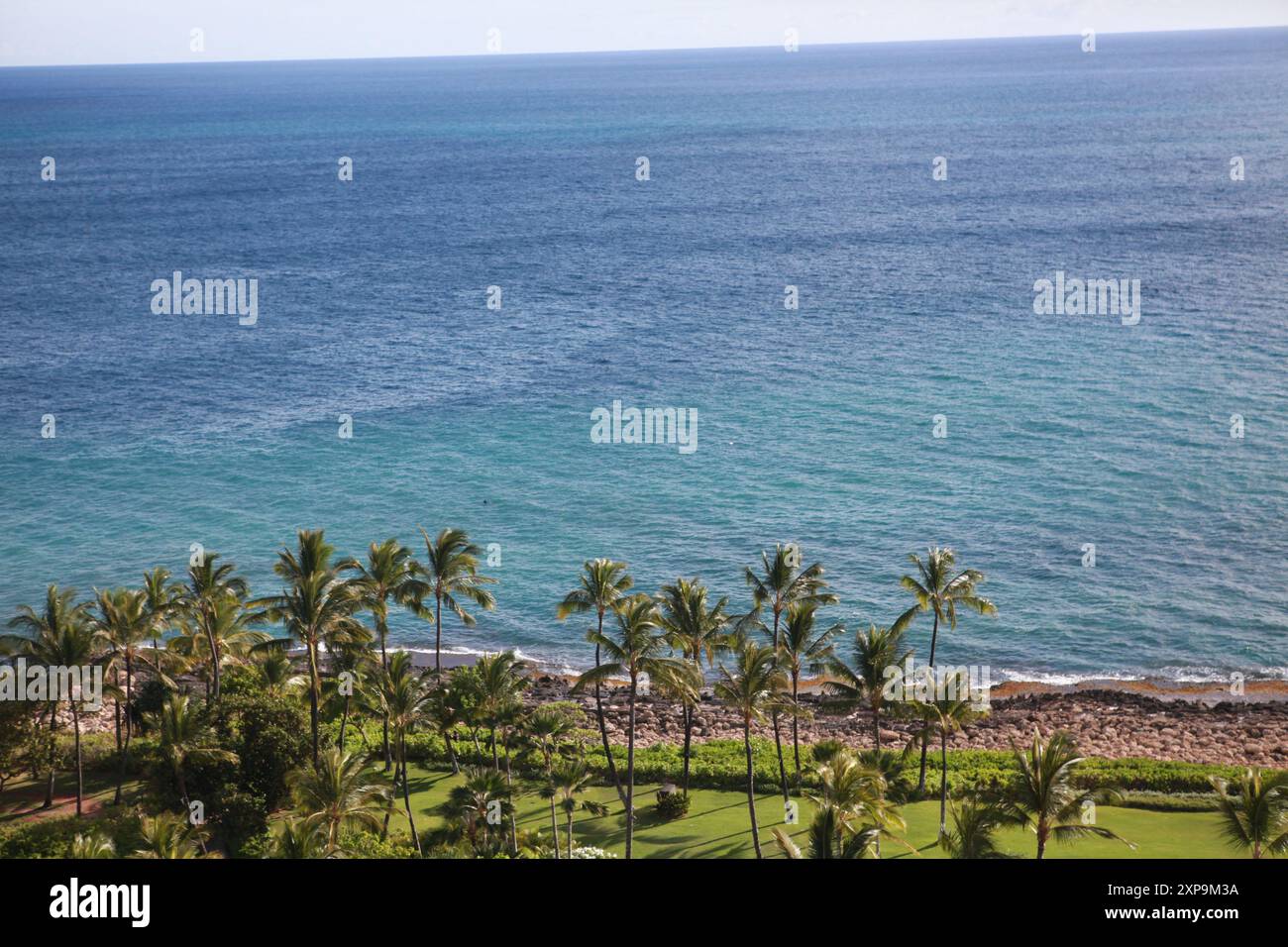 Aerial view, of Pacific ocean, shore, beach, palm trees, Ko Olina, Oahu ...