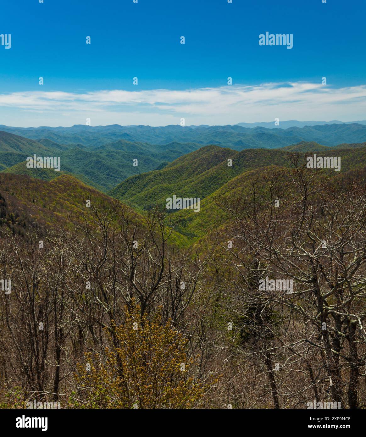 Spring Scenics on the Blue Ridge Parkway in North Carolina Stock Photo ...