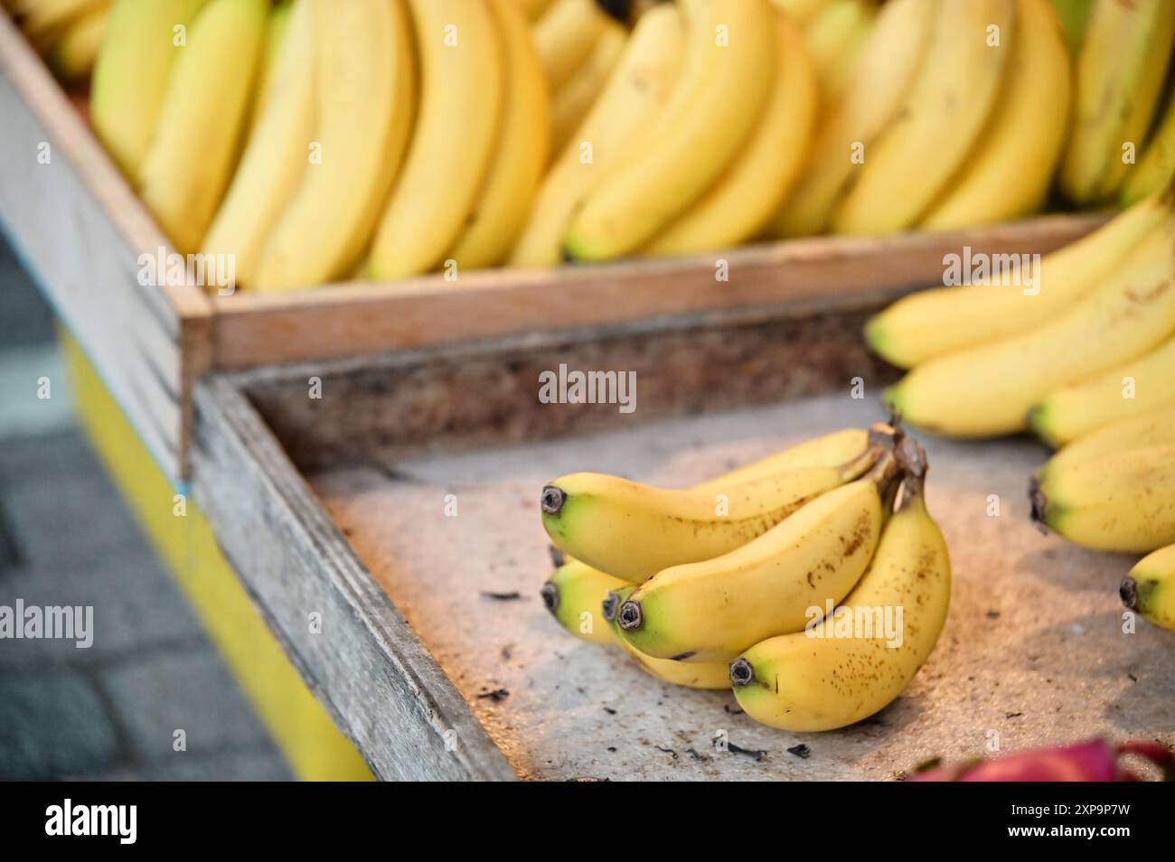 Bananas, with their bright yellow color, are loved by kids and adults ...