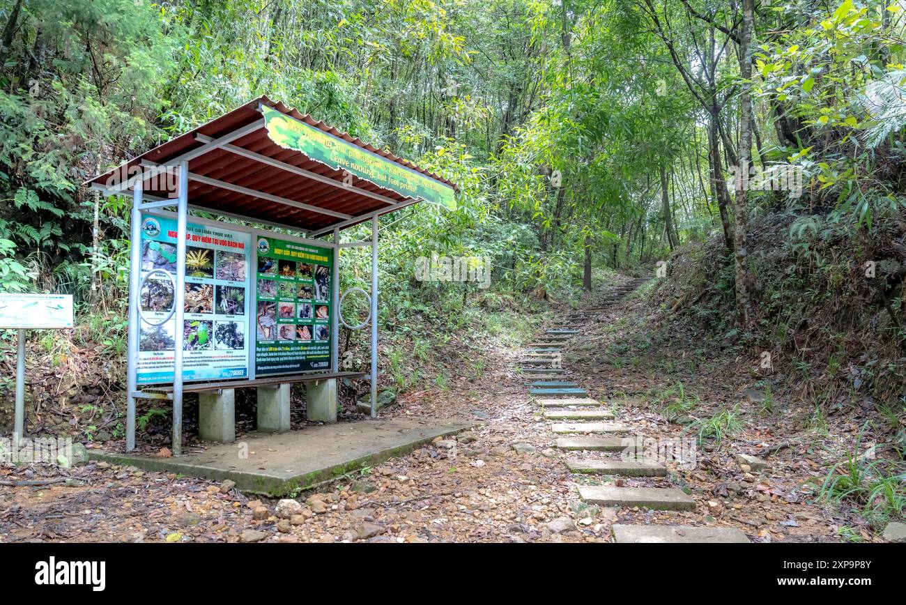 Bach Ma National Park, Thua Thien Hue Province, Vietnam - July 18, 2024 ...