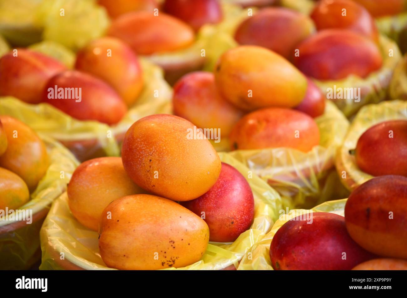 Mango, known as the "king of tropical fruits," is a summer favorite ...