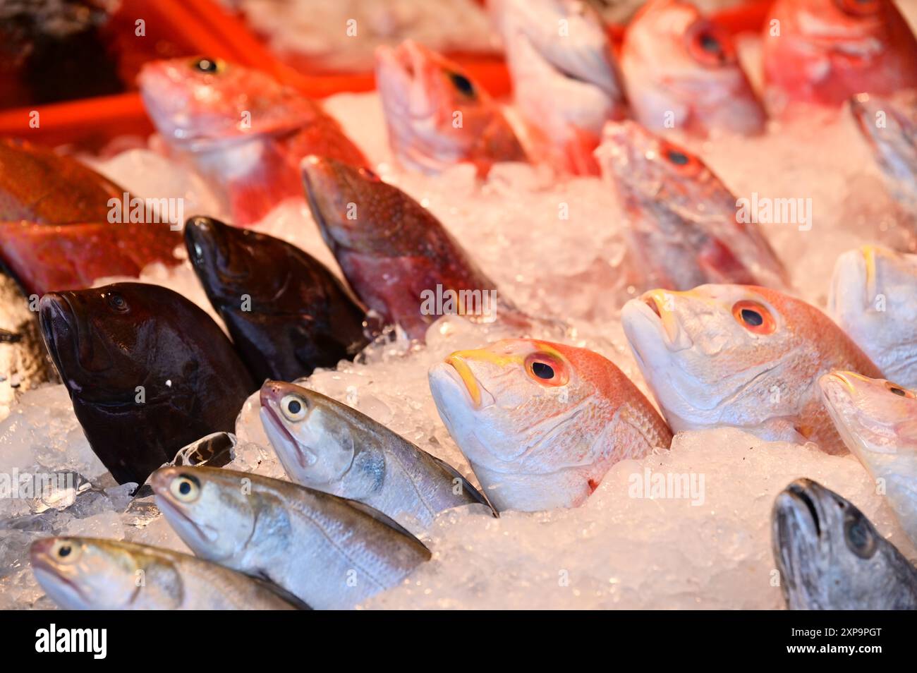 Experience the lively atmosphere of a traditional fish market where ...