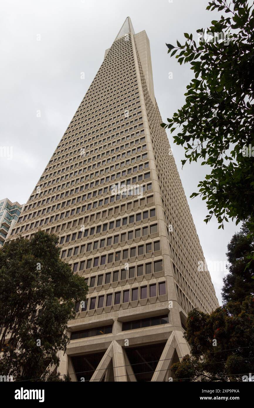 The modern architecture of Transamerica Pyramid Skyscraper in downtown ...