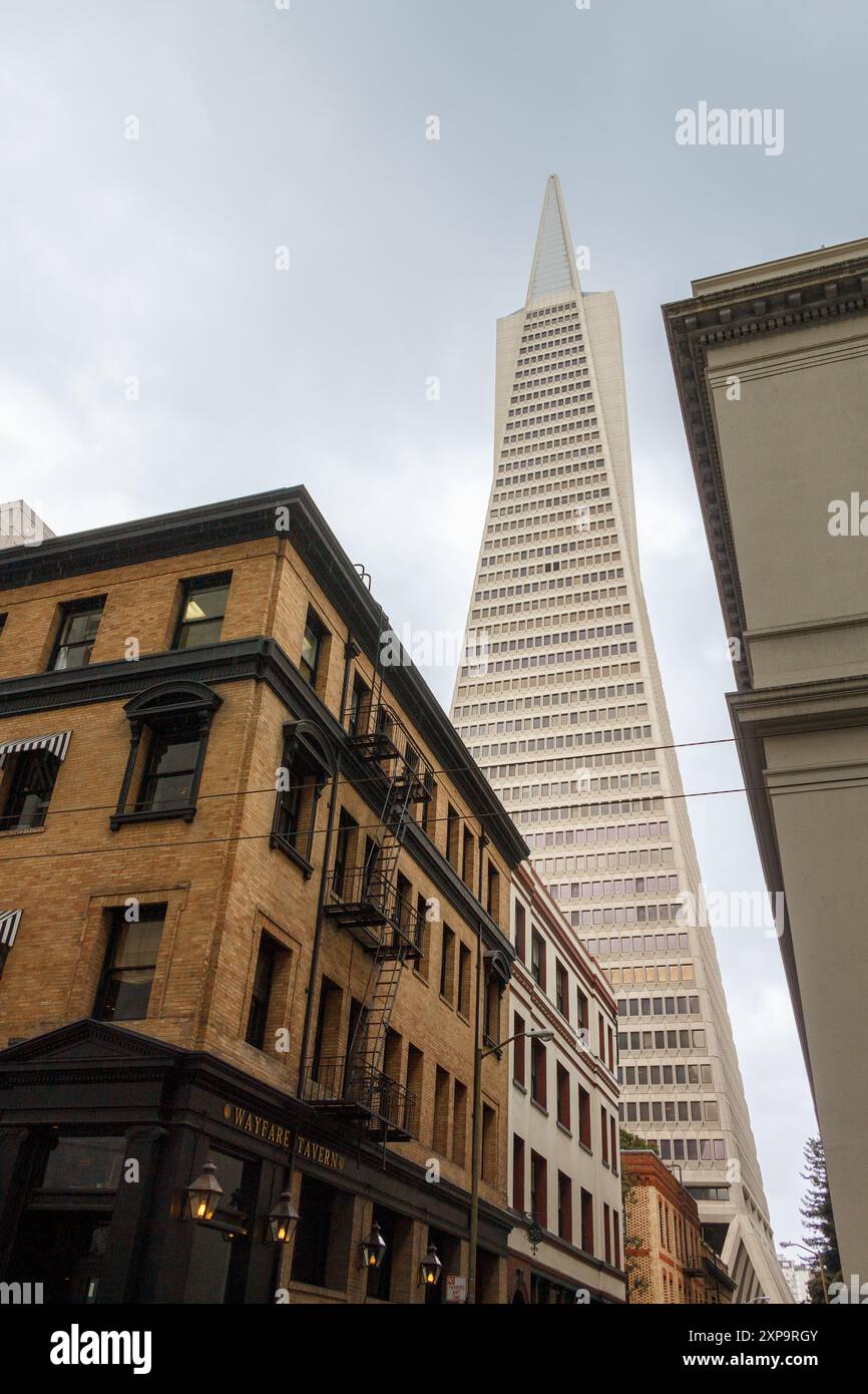The modern architecture of Transamerica Pyramid Skyscraper in downtown ...
