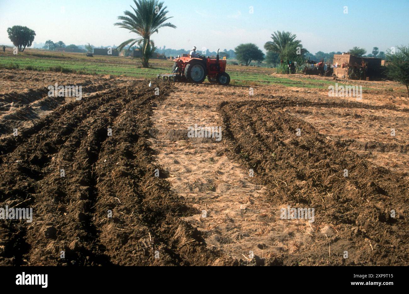 Farmer ploughing a field in Upper Egypt: mechanised farming Stock Photo ...