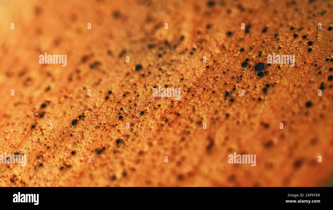 Particles fluid. Shimmering paint flow. Defocused golden bronze black ...