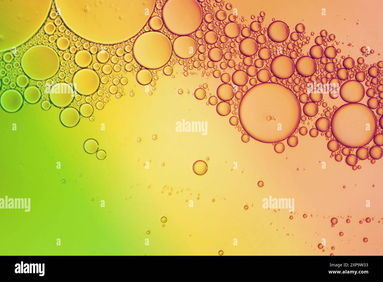 Macro photography of an oil and water mixture creating bubbles on a ...