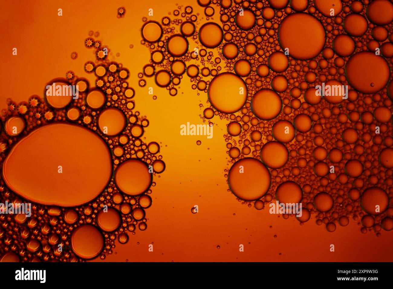 Macro photography of an oil and water mixture creating bubbles on a ...
