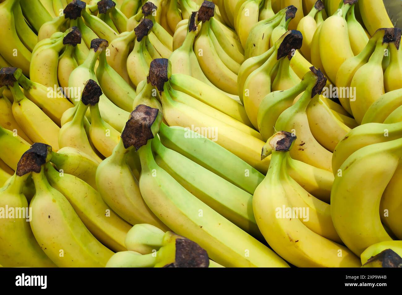 Close-up on a stack of bananas on a market stall Stock Photo - Alamy
