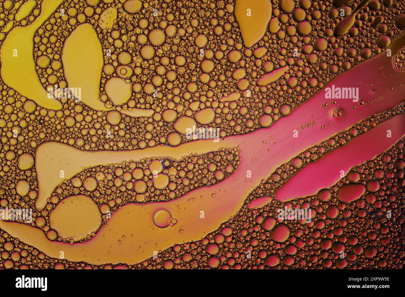 Macro photography of an oil and water mixture creating bubbles on a ...