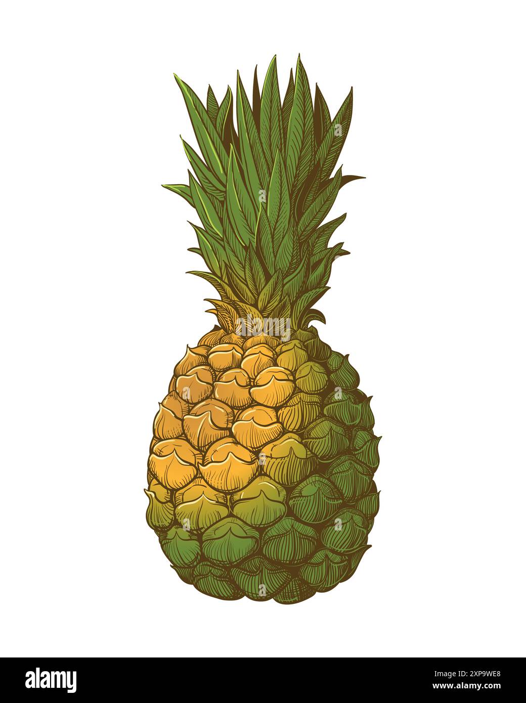Pineappl Stock Vector Images - Alamy