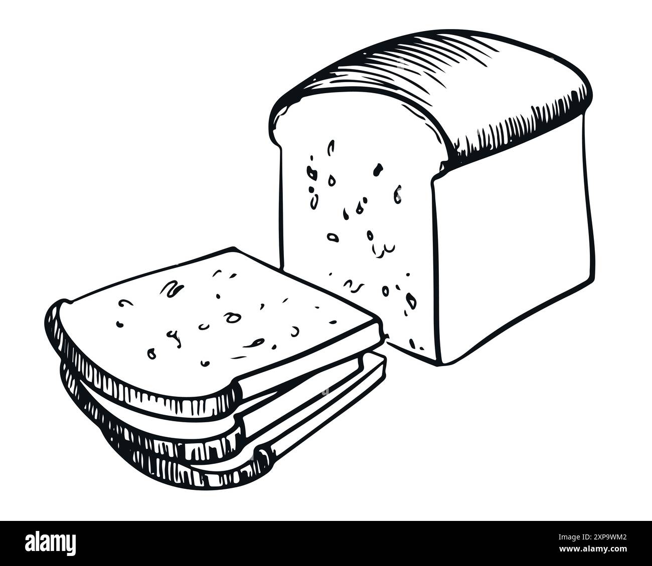 Hand drawn vector illustration of fresh wheat bread. Soft white bread ...