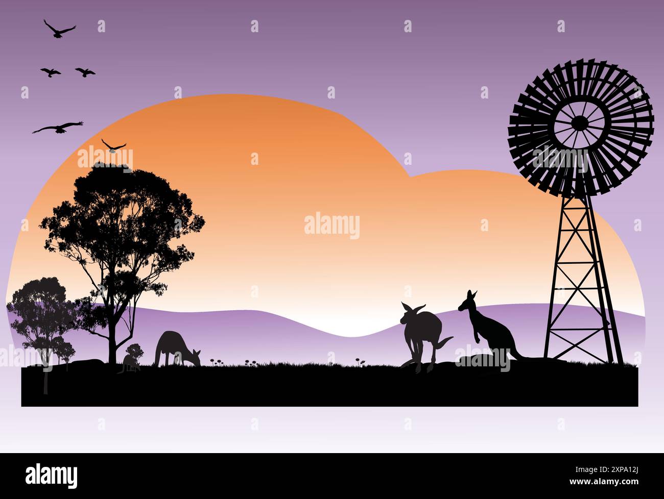 Outback Australia silhouette scene of kangaroos feeding in the sunset ...