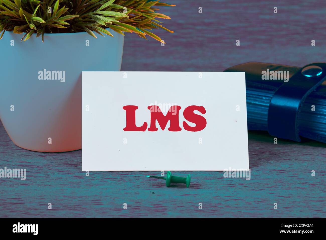 Lms icon learning management hi-res stock photography and images - Alamy