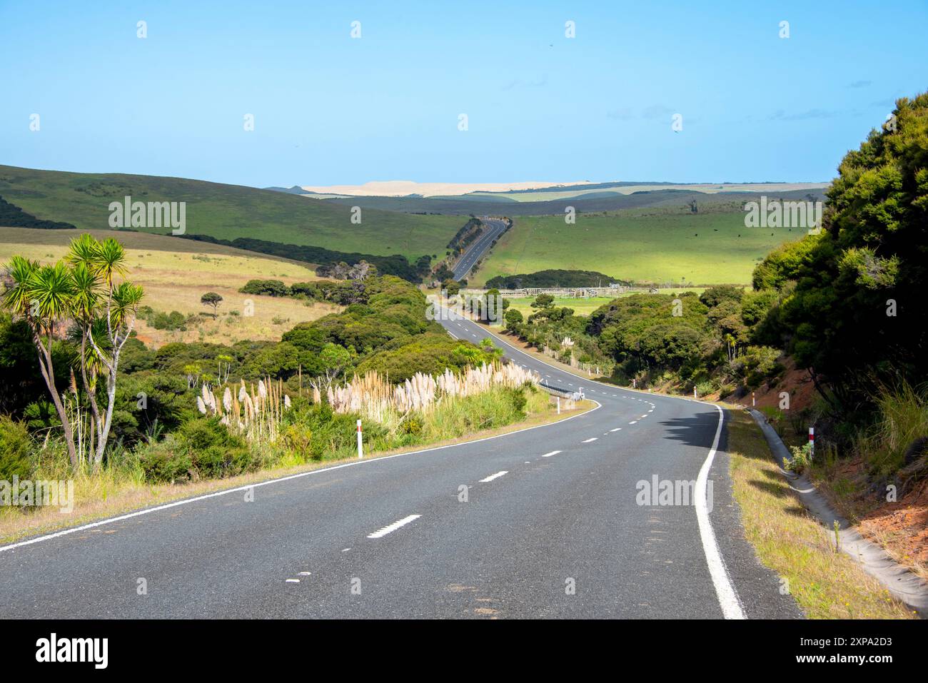New Zealand State Highway 1 Stock Photo - Alamy