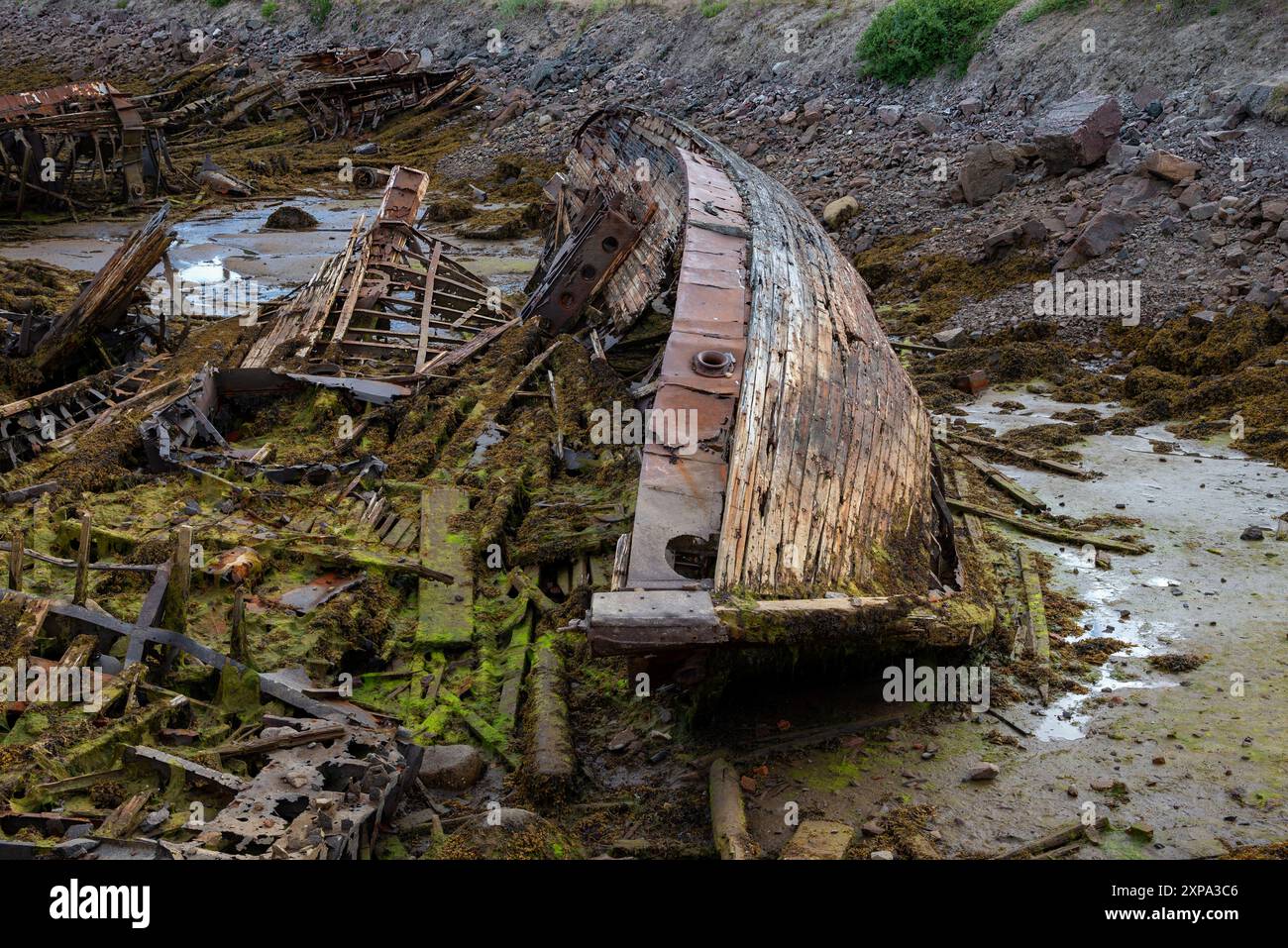 Cemetery of old wooden ships, Teriberka. Kola Peninsula, Arctic. Russia ...