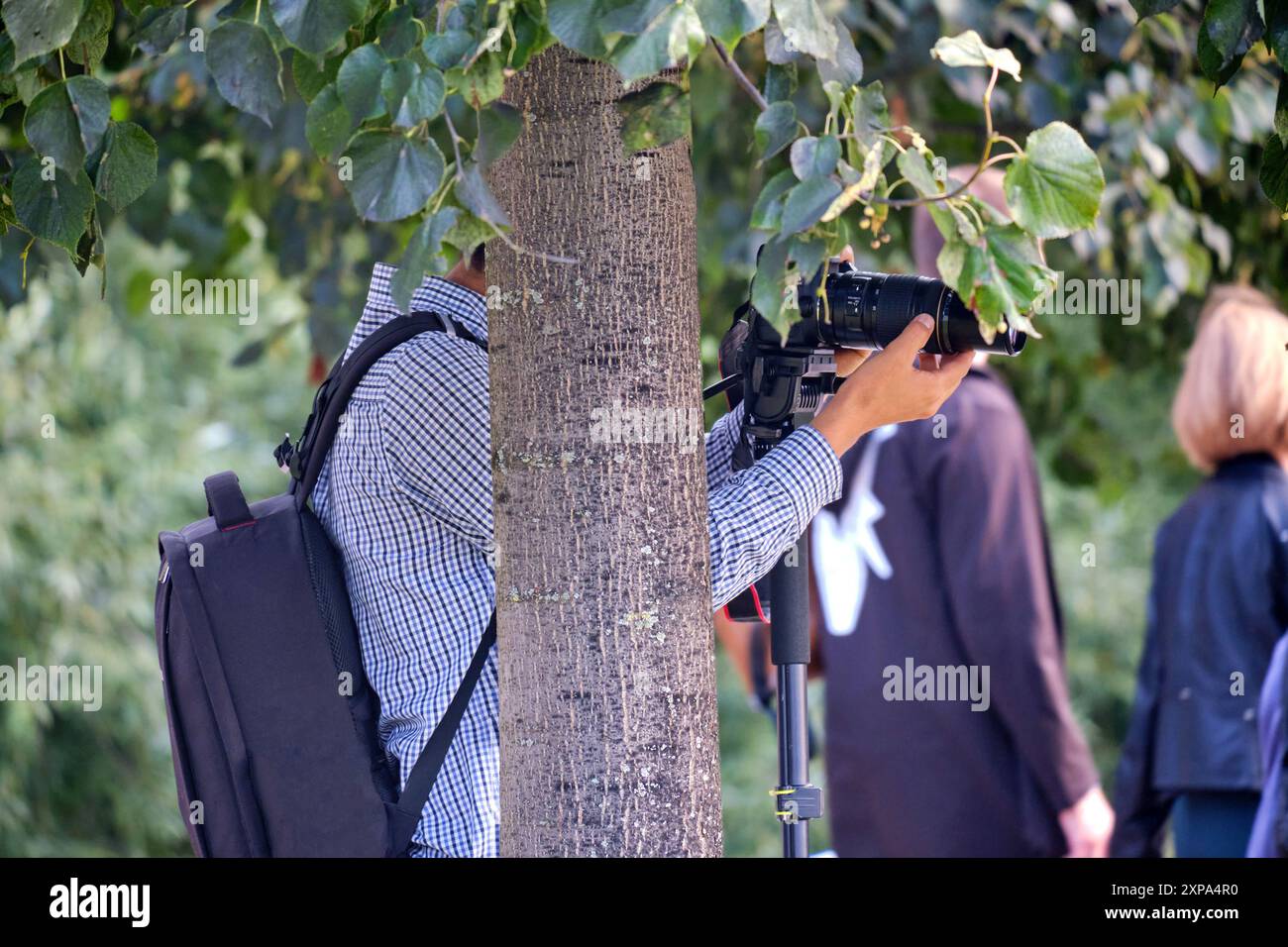 Photographer with camera on tripod partially hidden behind a tree in a ...
