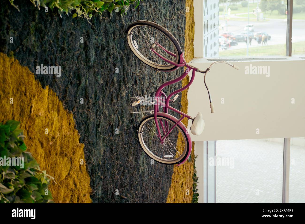 Pink bicycle mounted on a moss-covered wall with windows in the ...