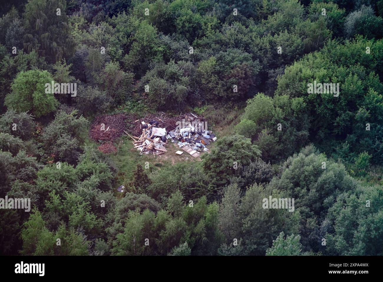 Aerial view of a clearing in a dense forest with a pile of discarded ...