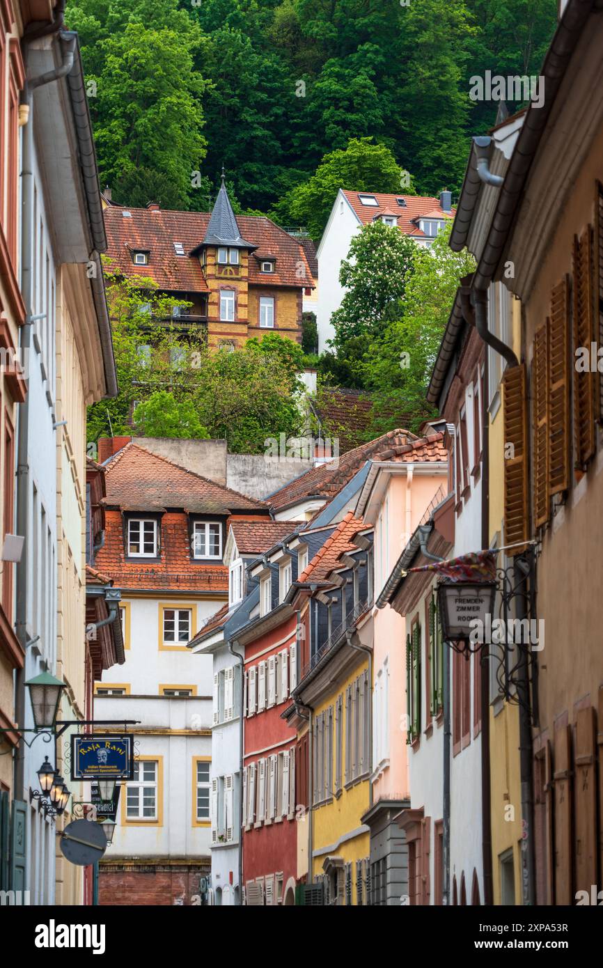 The Heidelberger Altstadt, The Old Town of Heidelberg, Historic Heart of the City, Germany Stock ...