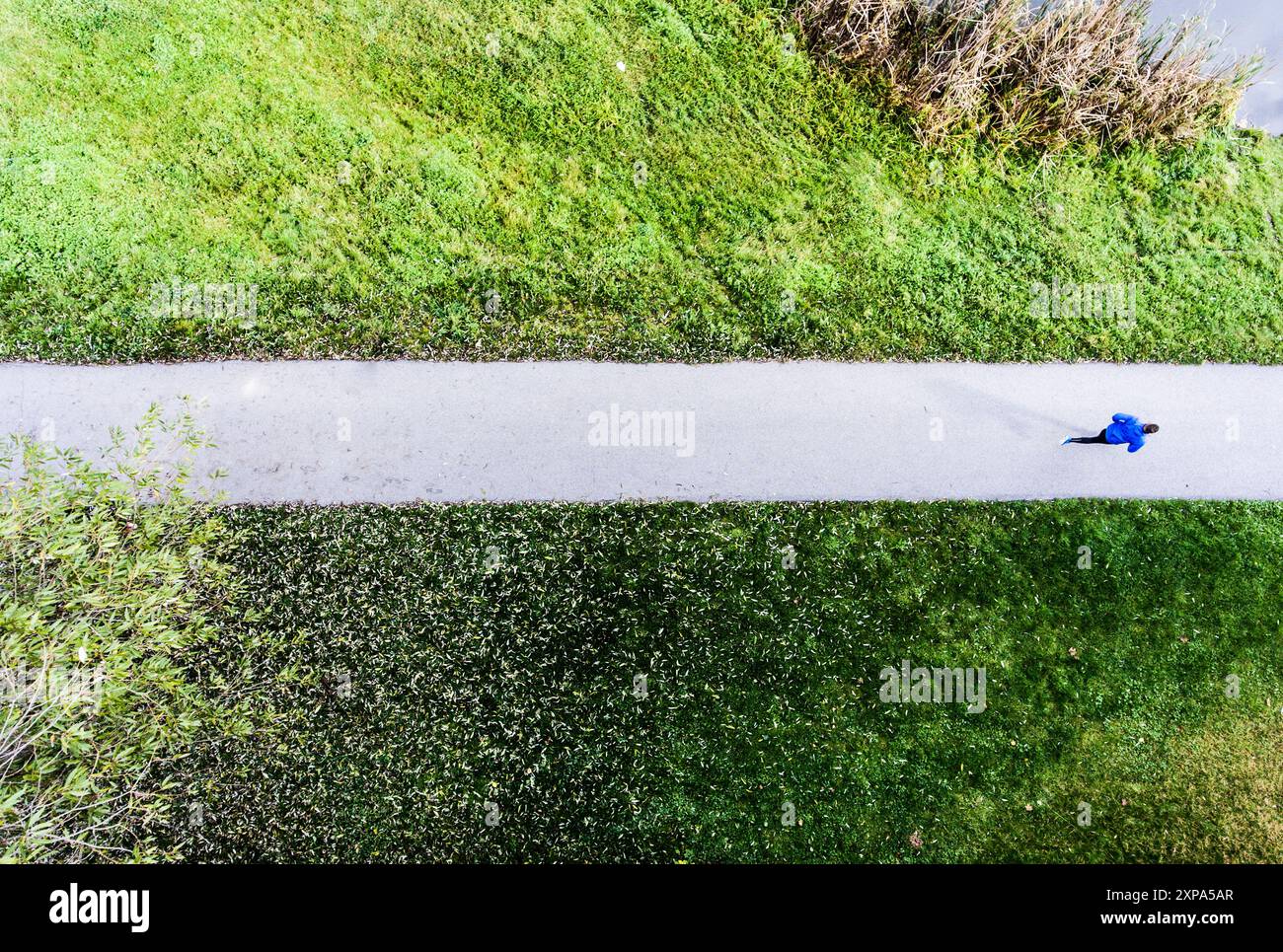 Aerial view of a runner running through the park on a jogging path ...