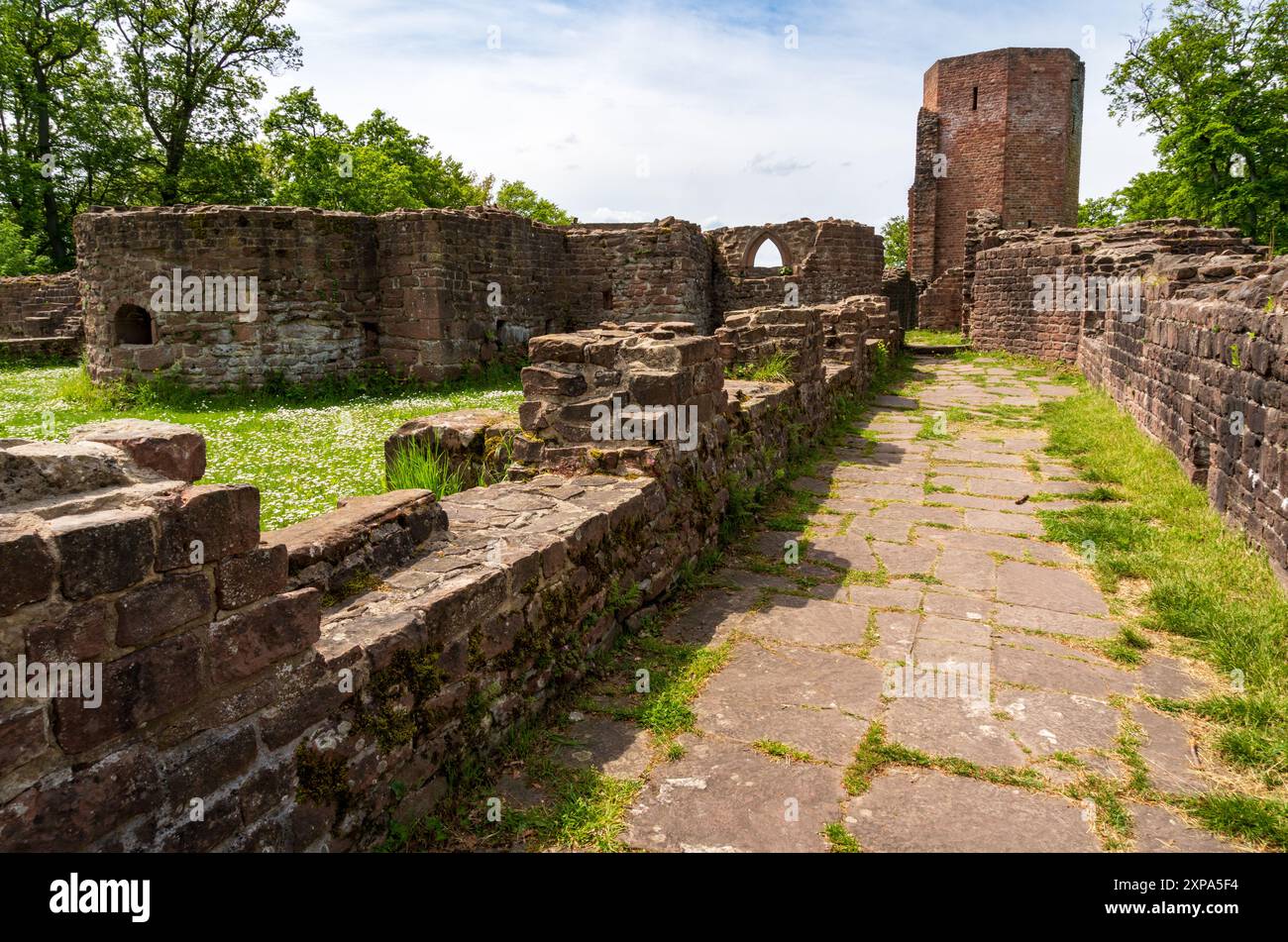 The Monastery of St. Michael German, Michaelskloster, Heiligenberg in ...