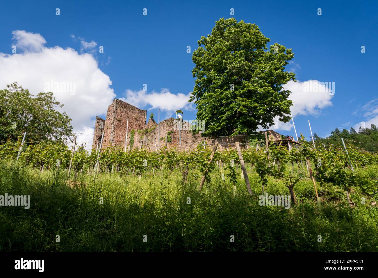 The Schauenburg Castle, Oberkirch, hilltop castle in Germany Stock ...