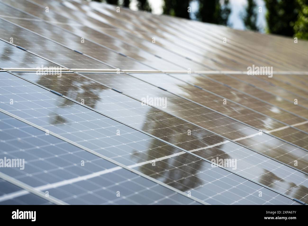 Close-up of eco technology of solar cell farm power plant. Solar cell ...