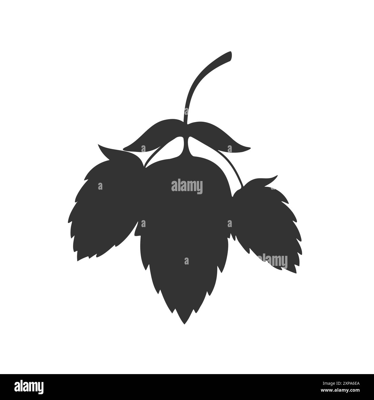 Hop plant with cones and leaves, doodle stylized silhouette drawing ...