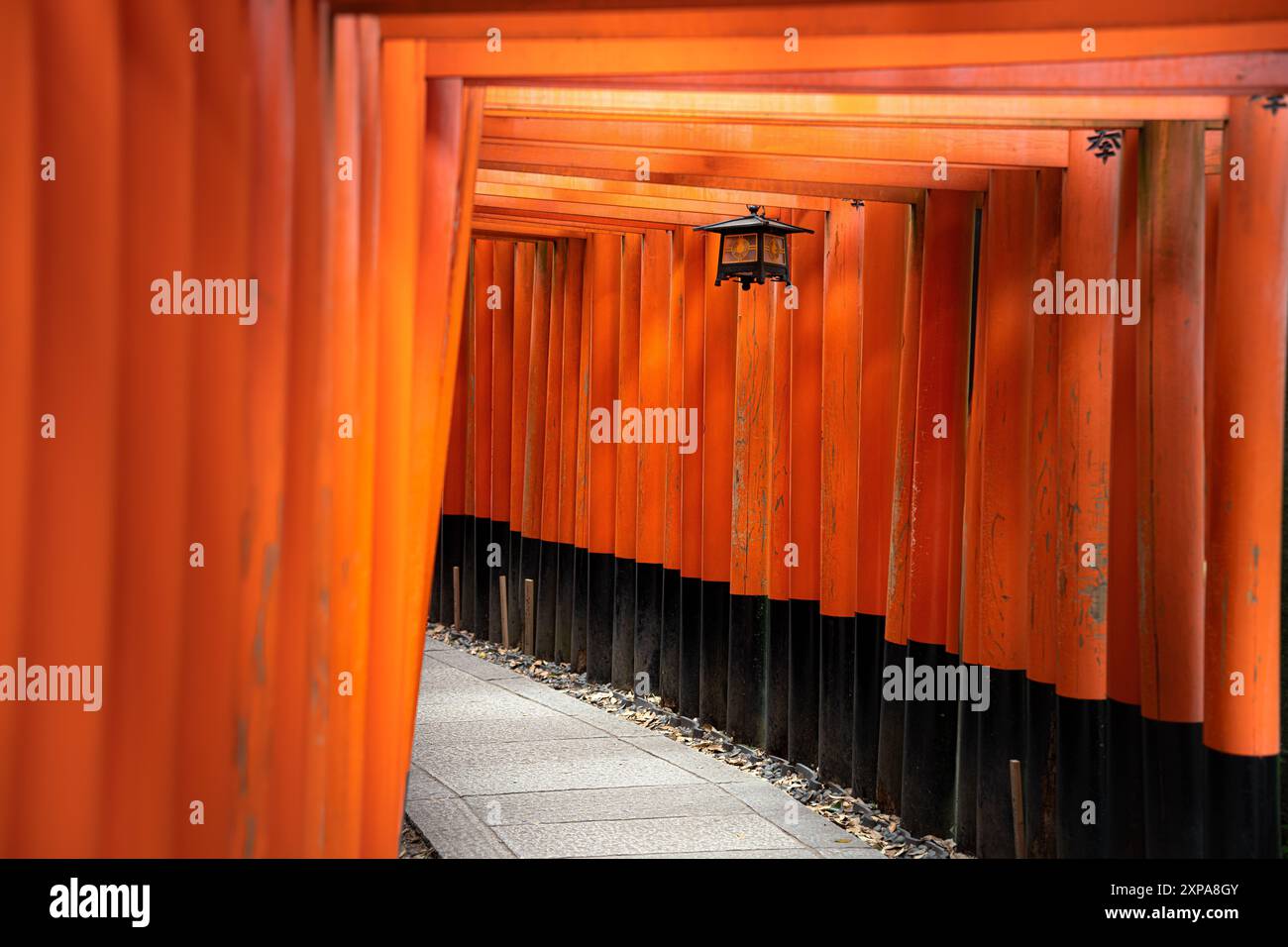 Beautiful row of vibrant orange torii gates of Kyoto Fushimi Inari ...