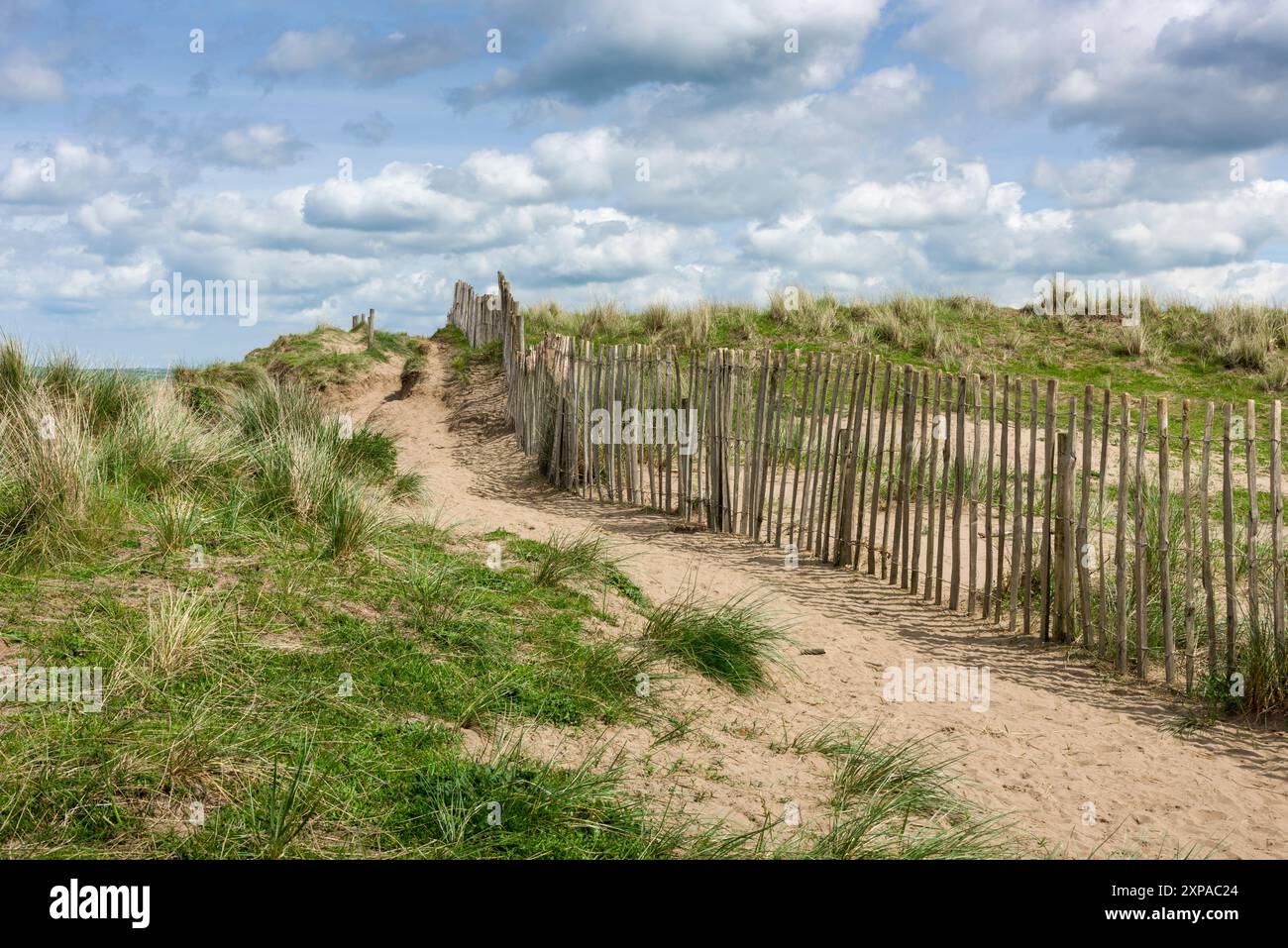 The sand dunes on the edge of the Northam Burrows Country Park next to ...