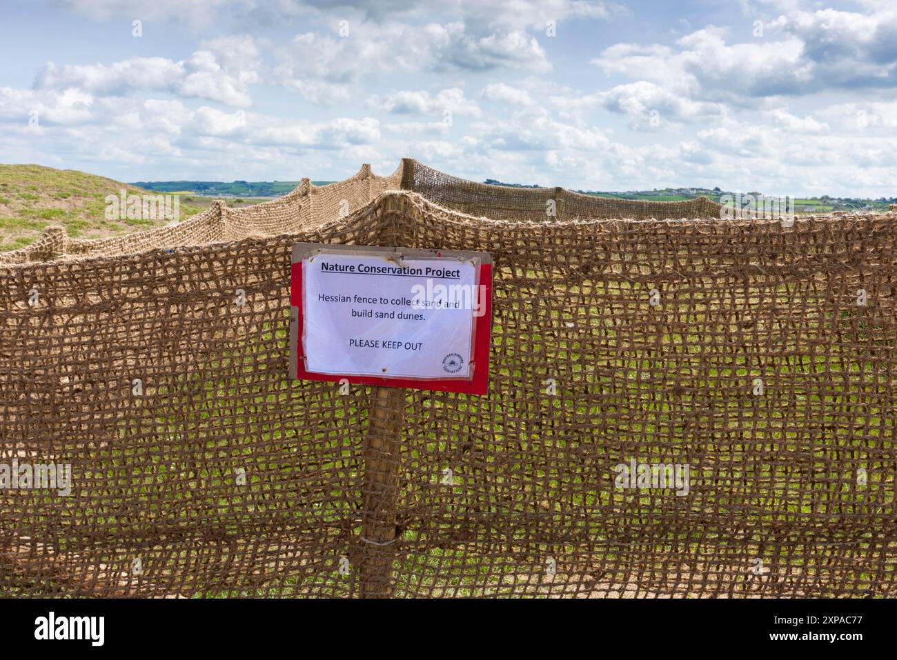 A conservation project in the Northam Burrows Country Park where a ...