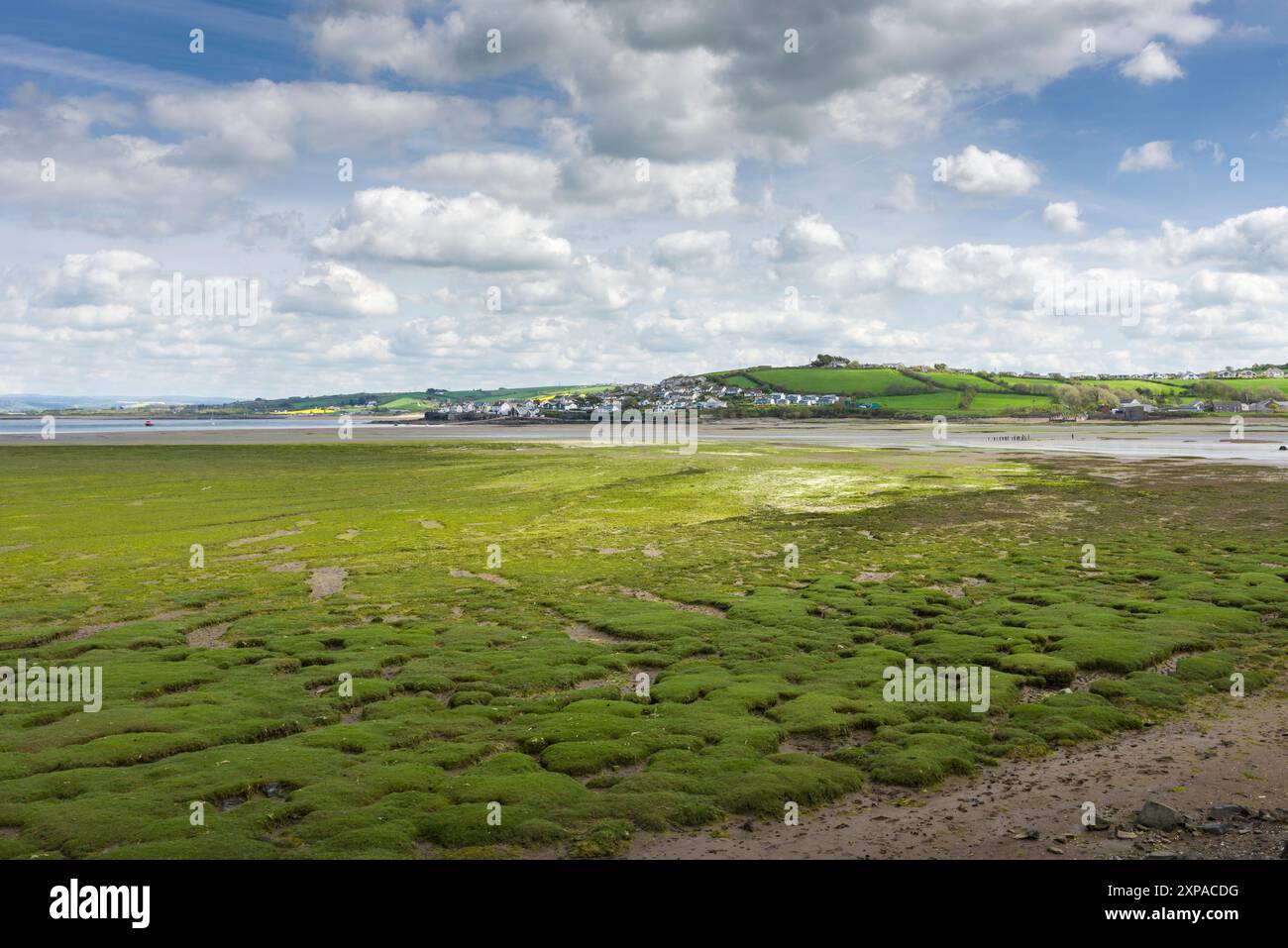The Skern mudflats in the Taw and Torridge Estuary at Northam Burrows ...