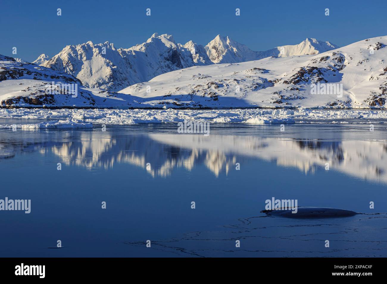 Icebergs in a fjord in front of mountains, winter, sunny, Kulusuk, East ...