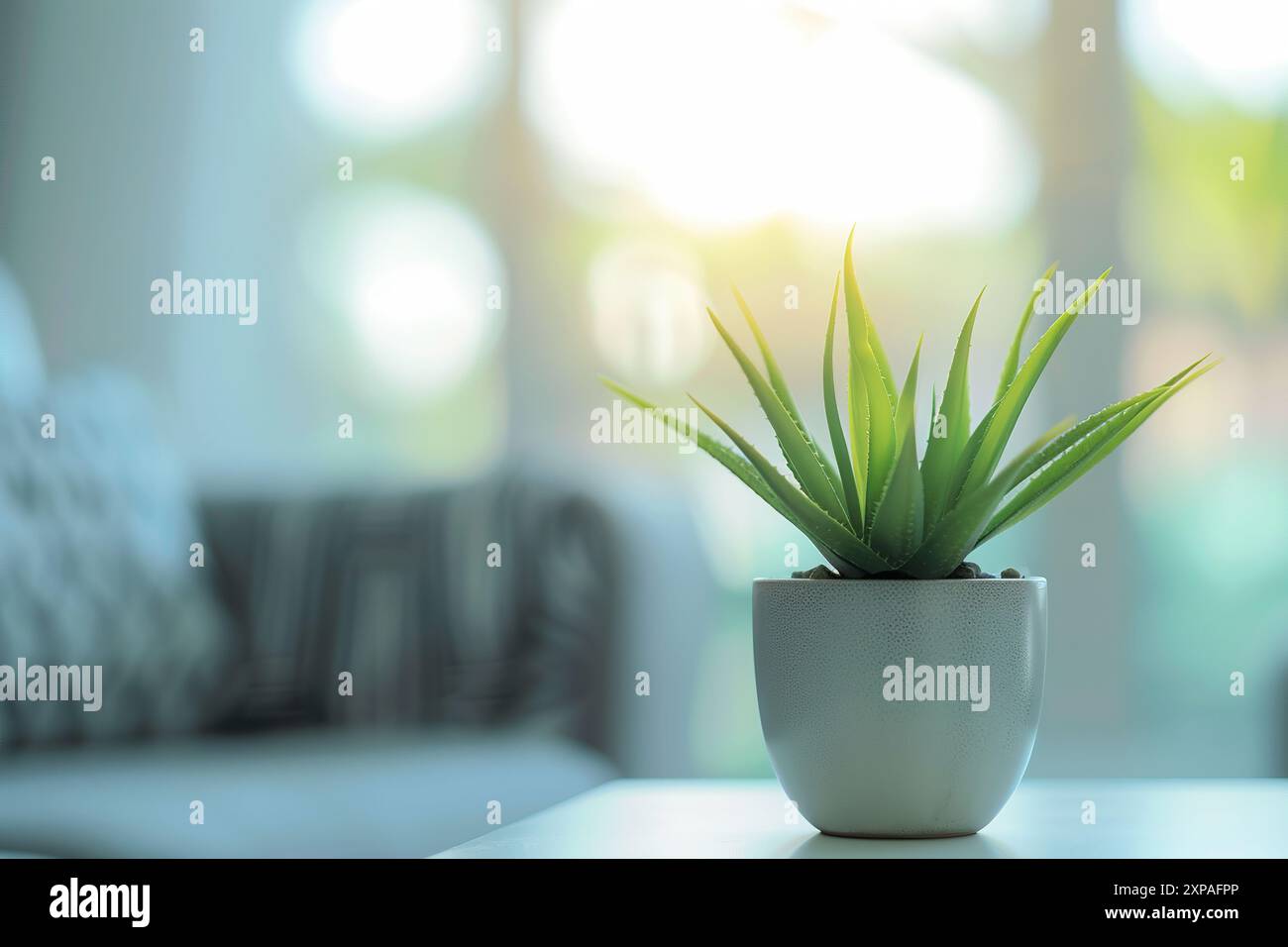 Modern interior element with indoor plant in concrete pot. Stylish ...