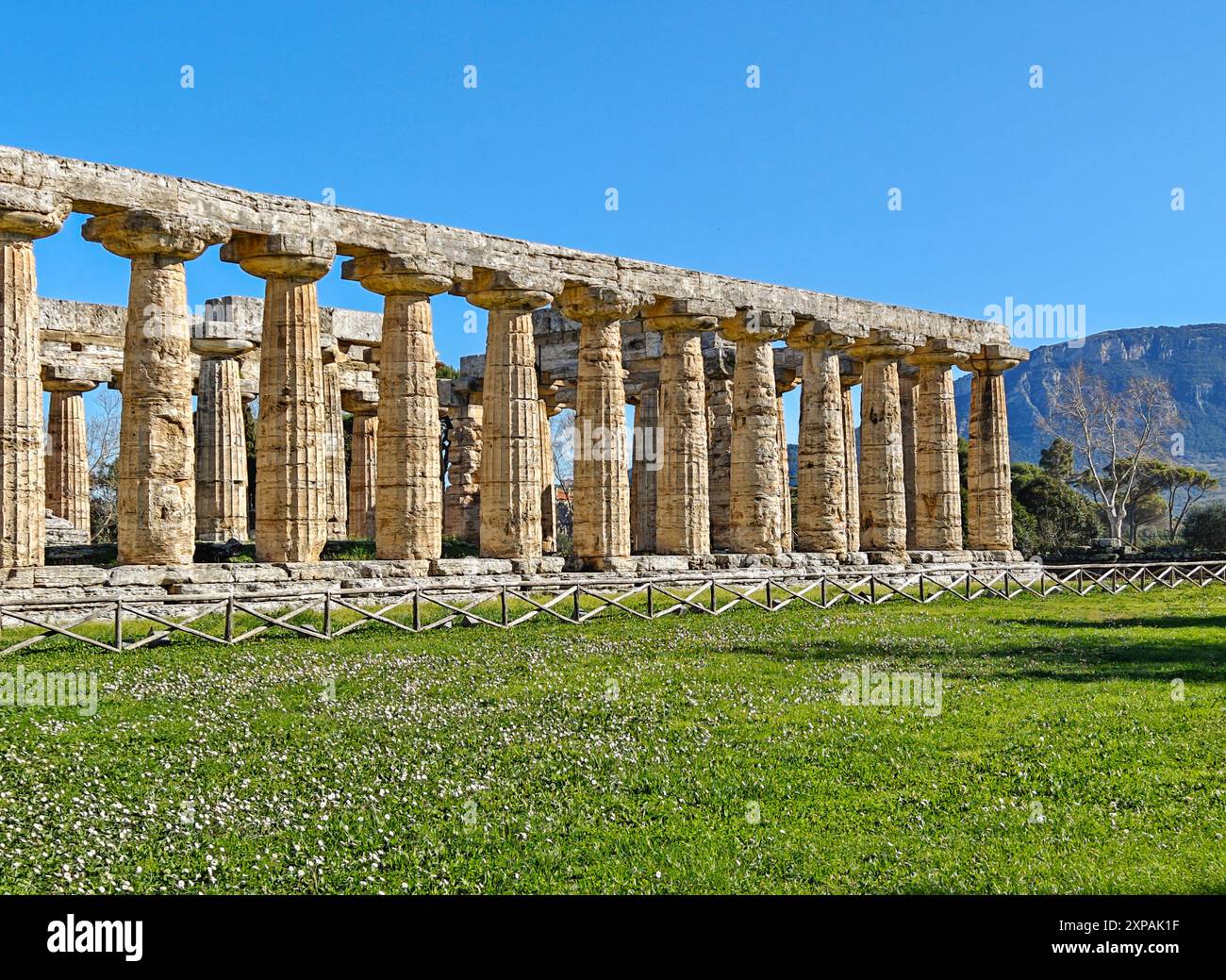 The ruins of Paestum are famous for their three ancient Greek temples ...