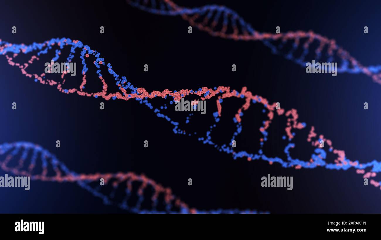 Dna strand red blue spheres hi-res stock photography and images - Alamy
