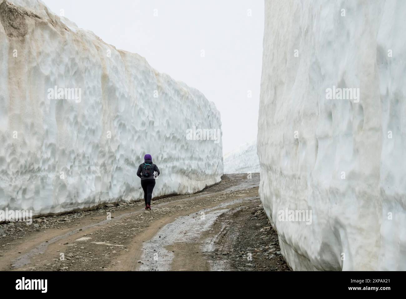 Hiking Among Snow Walls Stock Photo - Alamy