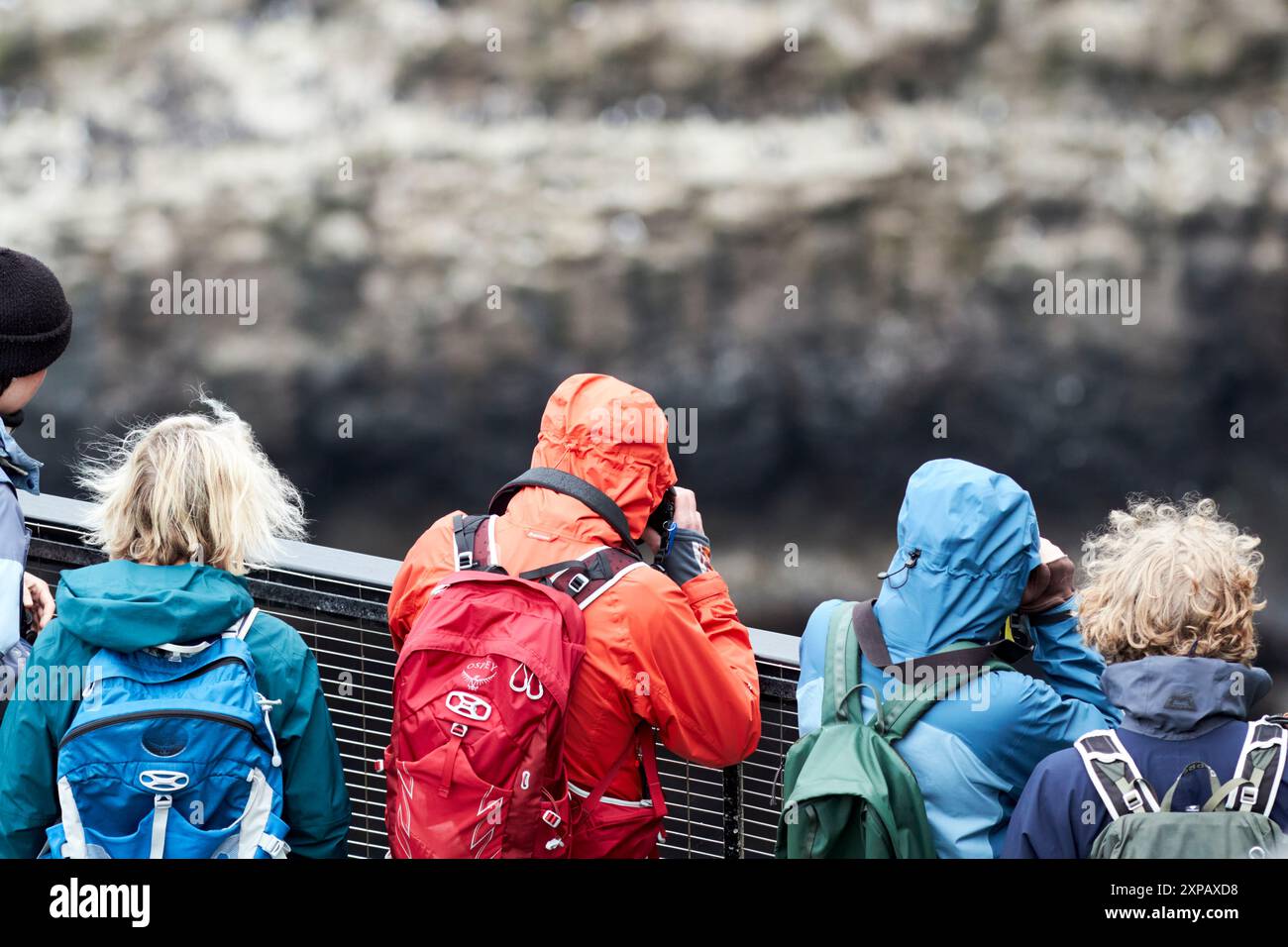 birdwatchers and tourists on the viewing platform overlooking cliffs ...